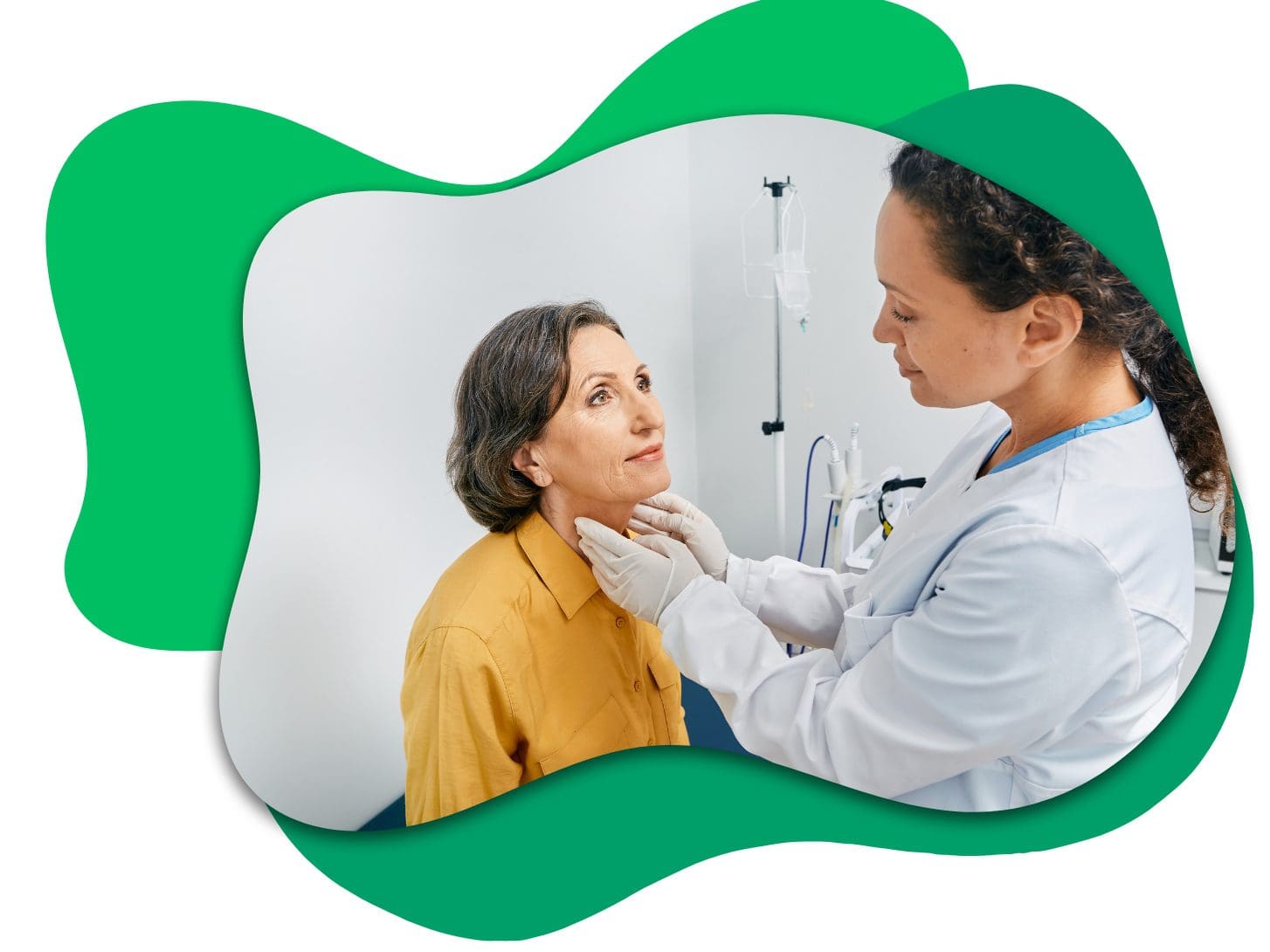 Thyroid Function Testing A Guide For Better Understanding